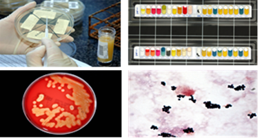 Norfolk and Norwich University Hospitals NHS Foundation Trust ...