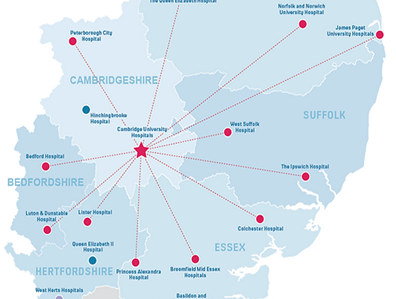 Norfolk and Norwich University Hospitals NHS Foundation Trust » Trauma ...